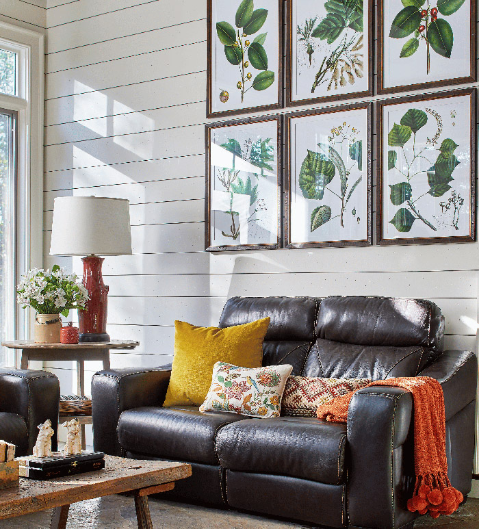 Transitional & Traditional Living Room Furniture & Decor